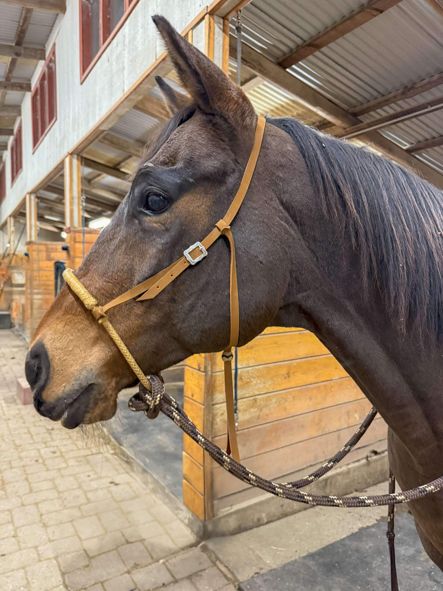 Bosal Hanger with Jowl strap – Buckaroo Leather Products