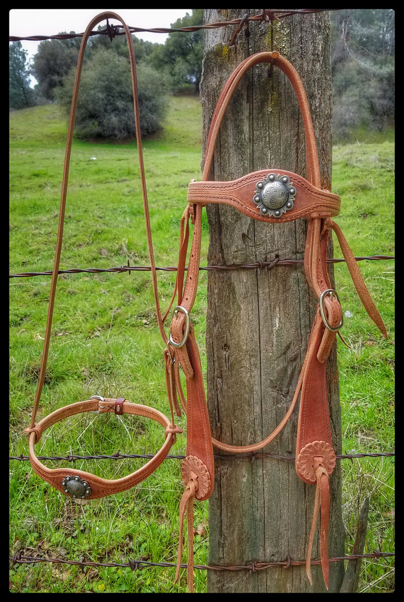 Old West Style Headstall with Caveson – Buckaroo Leather Products