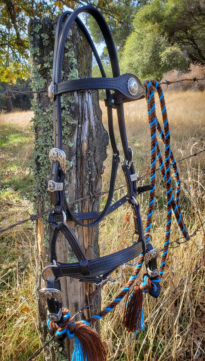 Black Beauty Sidepull with Silver – Buckaroo Leather Products