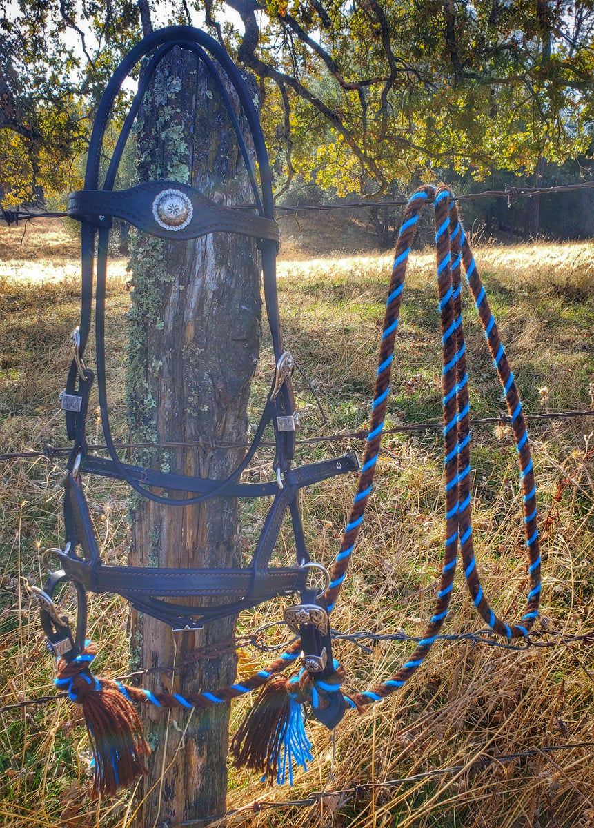 Black Beauty Sidepull with Silver – Buckaroo Leather Products