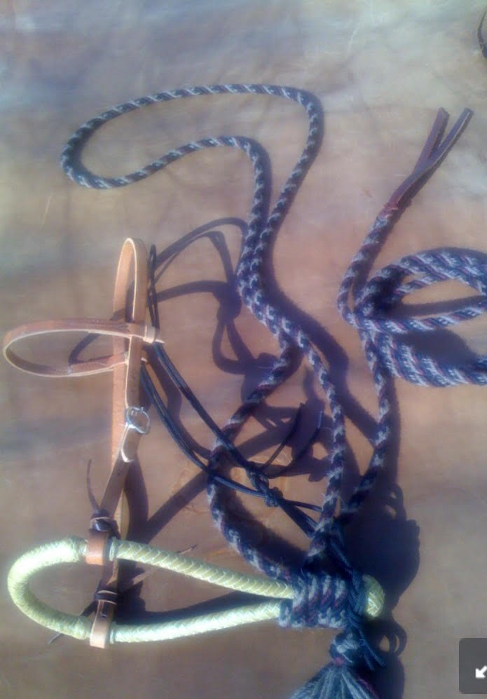 Hackamores, Bosal With Headstall, Rawhide Gear | Buckaroo Leather ...