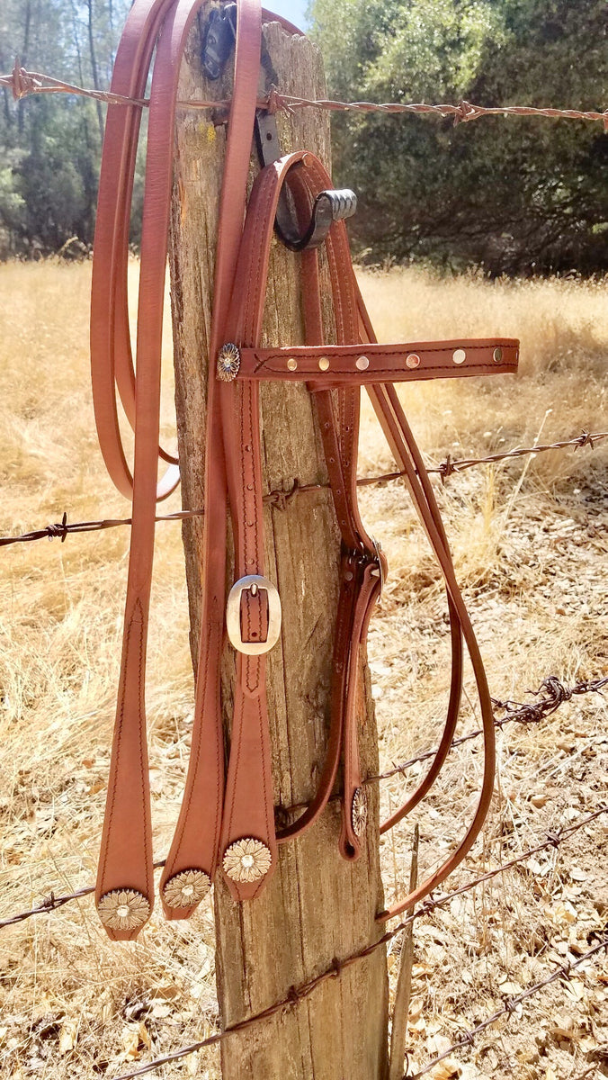 Tear Drop Headstall and Reins – Buckaroo Leather Products